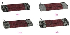 Exploring Magnets Class 6 Extra Questions and Answers Science Chapter 4 ...